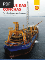 Total Akpo FPSO Project | PDF | Subsea (Technology) | Offshore Drilling