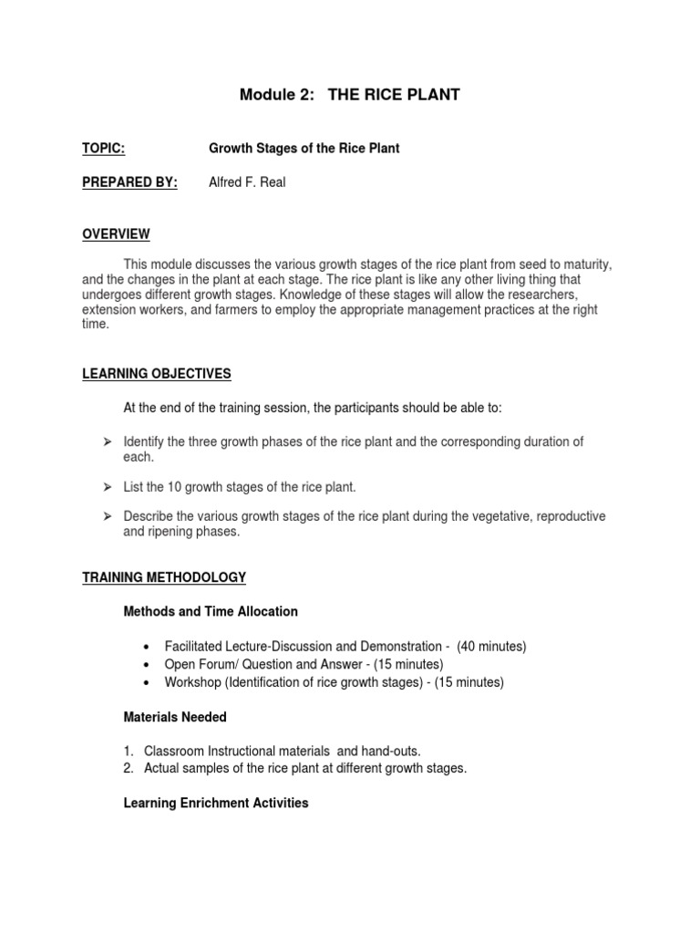 1 - Growth Stages of The Rice Plant | PDF | Germination | Root