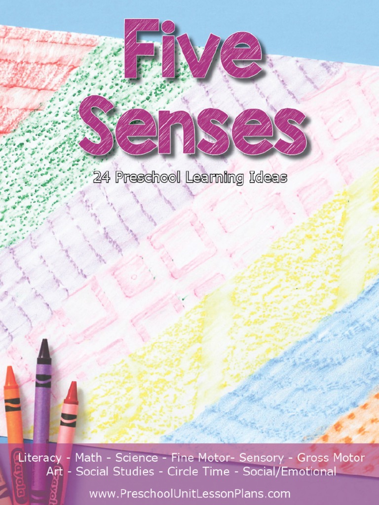 Five Senses Printables Terms of Use | PDF | Neuroscience
