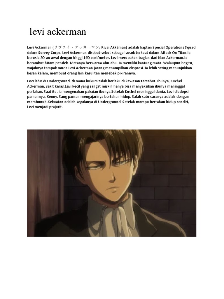 Levi Ackerman | PDF