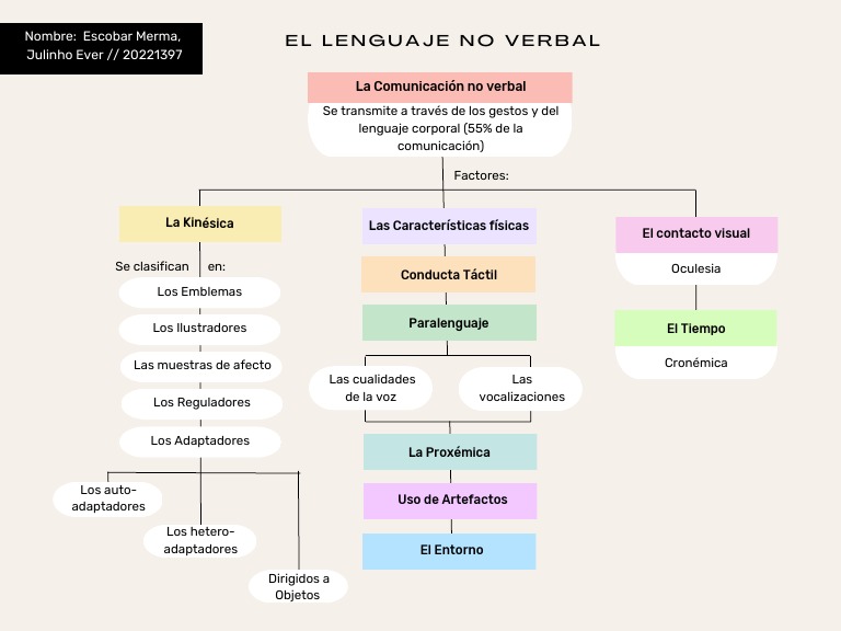 El Lenguaje No Verbal | PDF