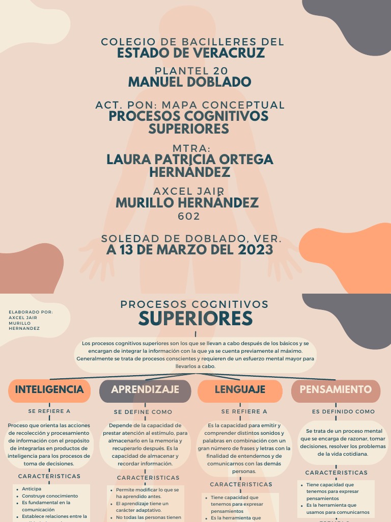 Procesos Cognitivos Superiores en Aprendizaje | PDF | Pensamiento ...