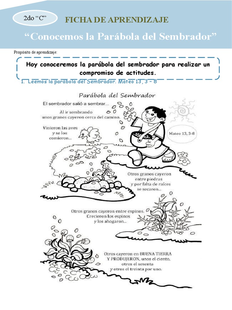 Actividades sobre la Parábola del Sembrador | PDF