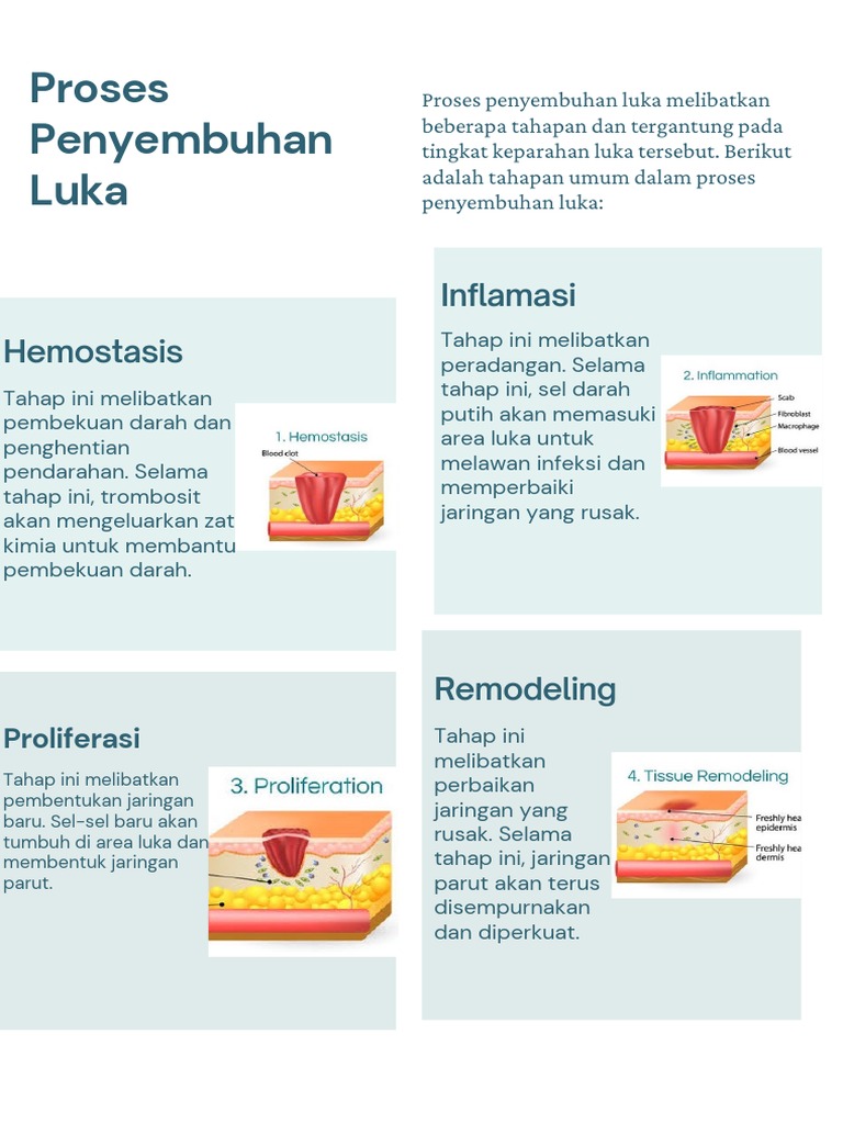 Tahapan Proses Penyembuhan Luka | PDF