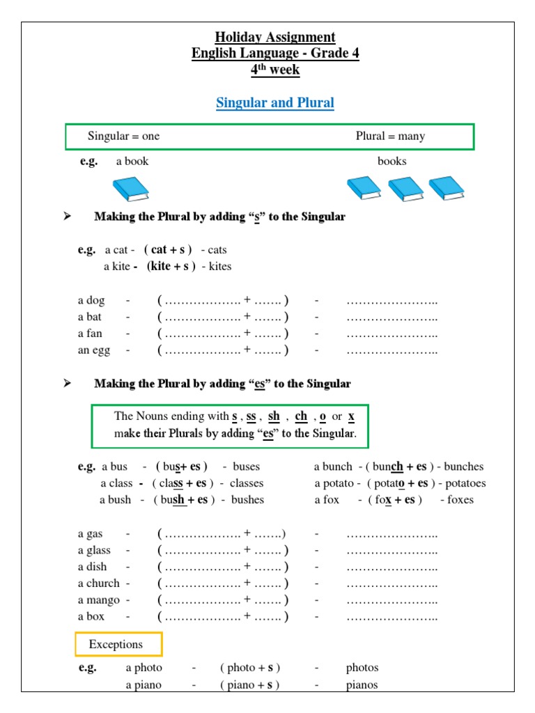 Singular and Plural Nouns | PDF | Grammatical Number | Plural