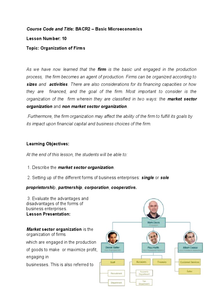 Intro to Firm Organization | PDF | Sole Proprietorship | Corporations