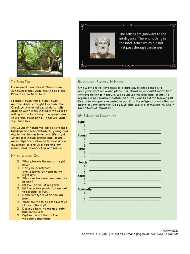 The Plane Tree - Relaxing To Nature - 0 | PDF | Plato | Aristotle