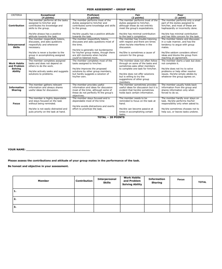 Peer Assessment Rubric 1 1 | PDF | Social Psychology | Learning
