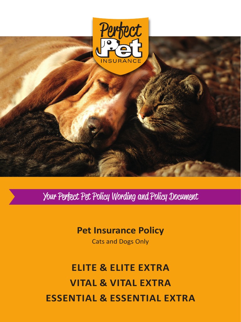 Elite & Elite Extra Vital & Vital Extra Essential & Essential Extra ...