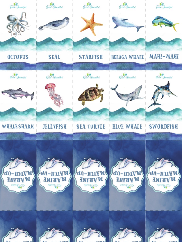 Marine Match Up | Download Free PDF | Whales | Sharks