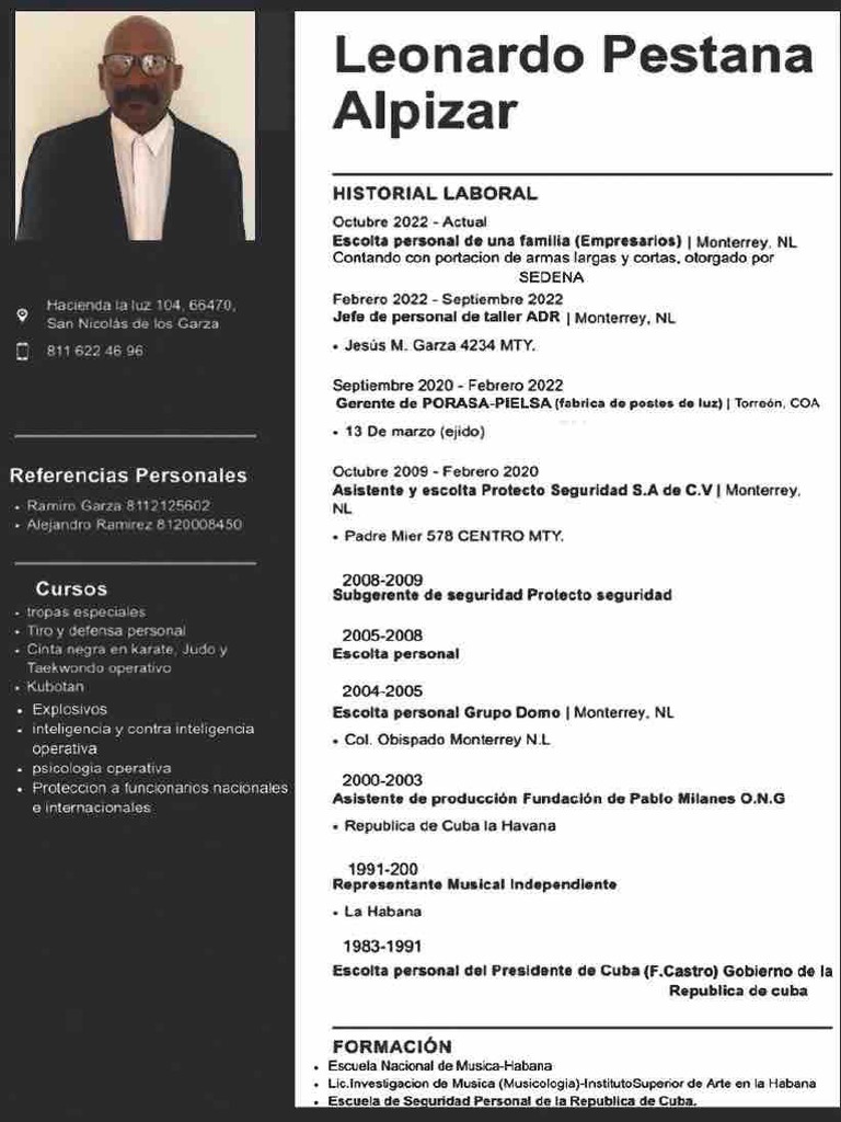 Curriculum Leonardo | PDF