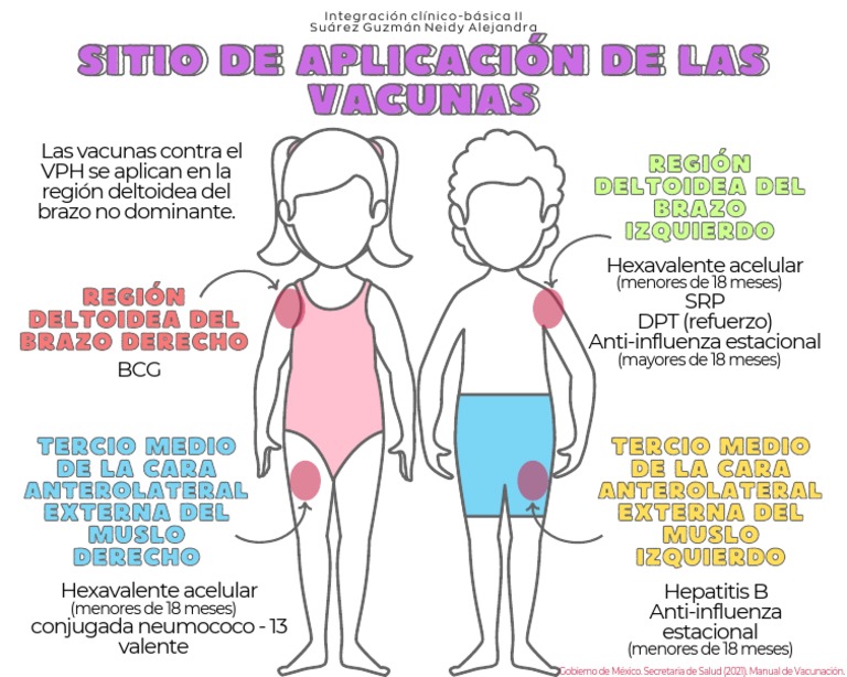 Sitio de Aplicación de Las Vacunas | PDF