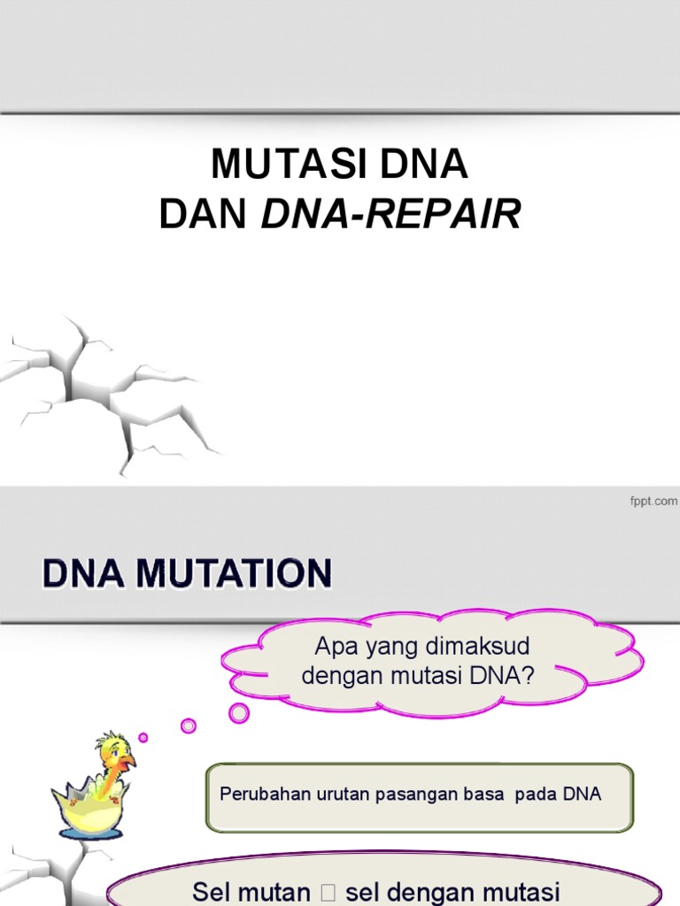 Mutasi DNA | PDF