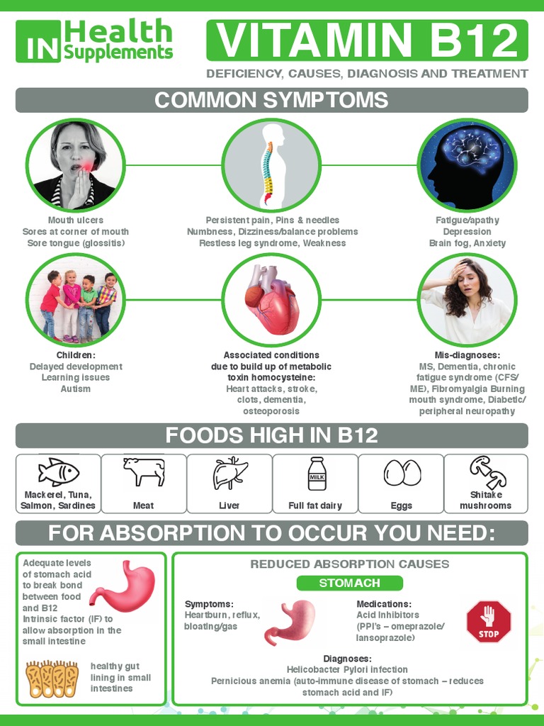 Vitamin B12 Infographic | PDF | Vitamin B12 | Anemia