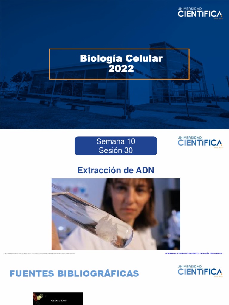 Biología Celular-Extracción de ADN-10-16 | PDF | Adn | Biología