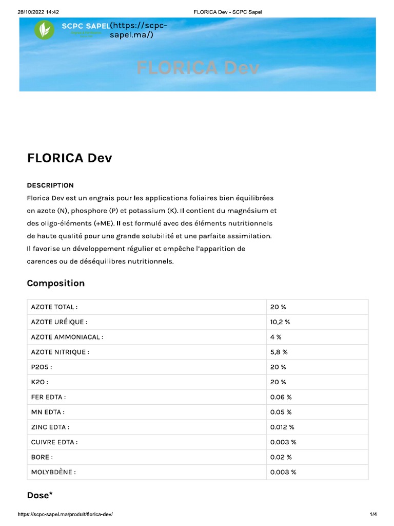 FLORICA Dev | PDF