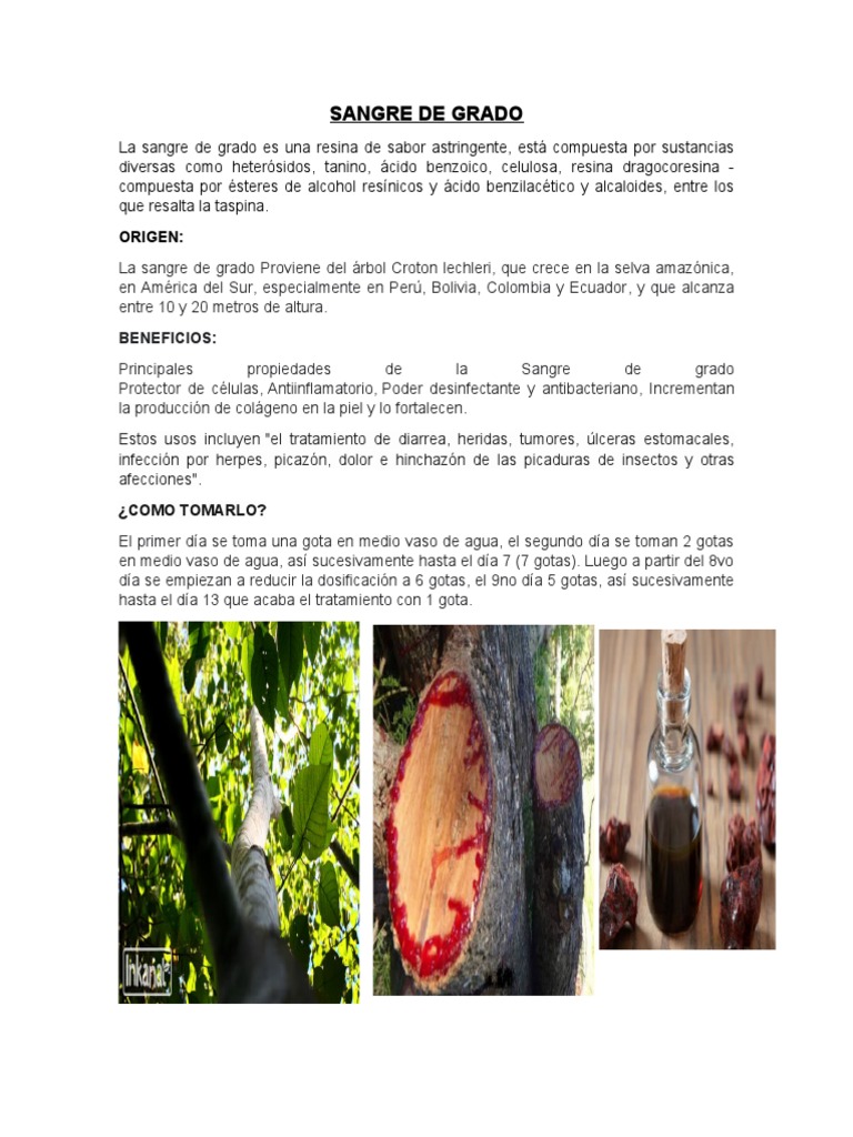 Sangre de Grado | PDF