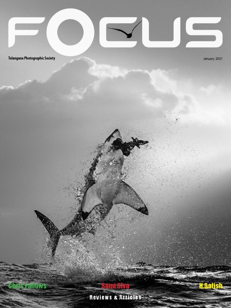 Focus Photography-Issue | PDF | Exposure (Photography) | Ethology