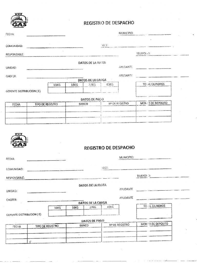 Formato Despacho 4F | PDF