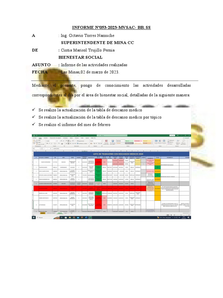 Informe BBSS 02-03-23 | PDF