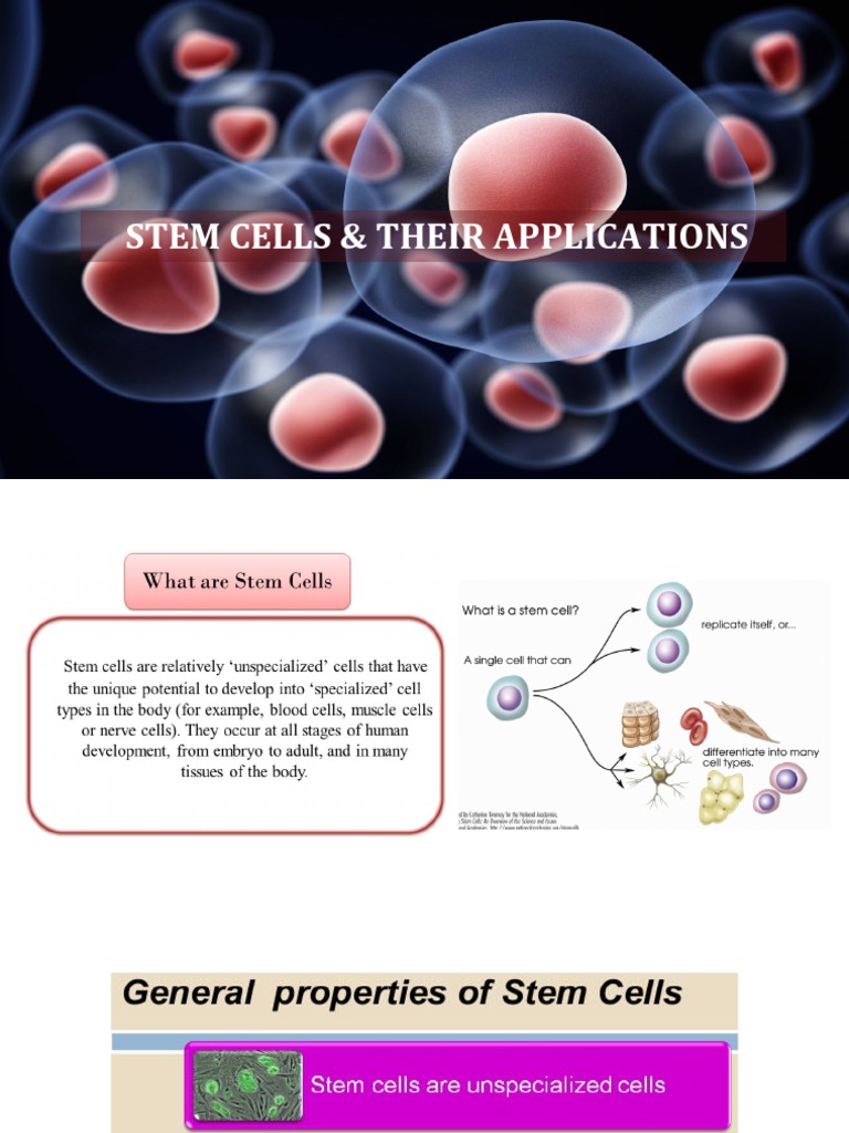 Stem Cells | PDF