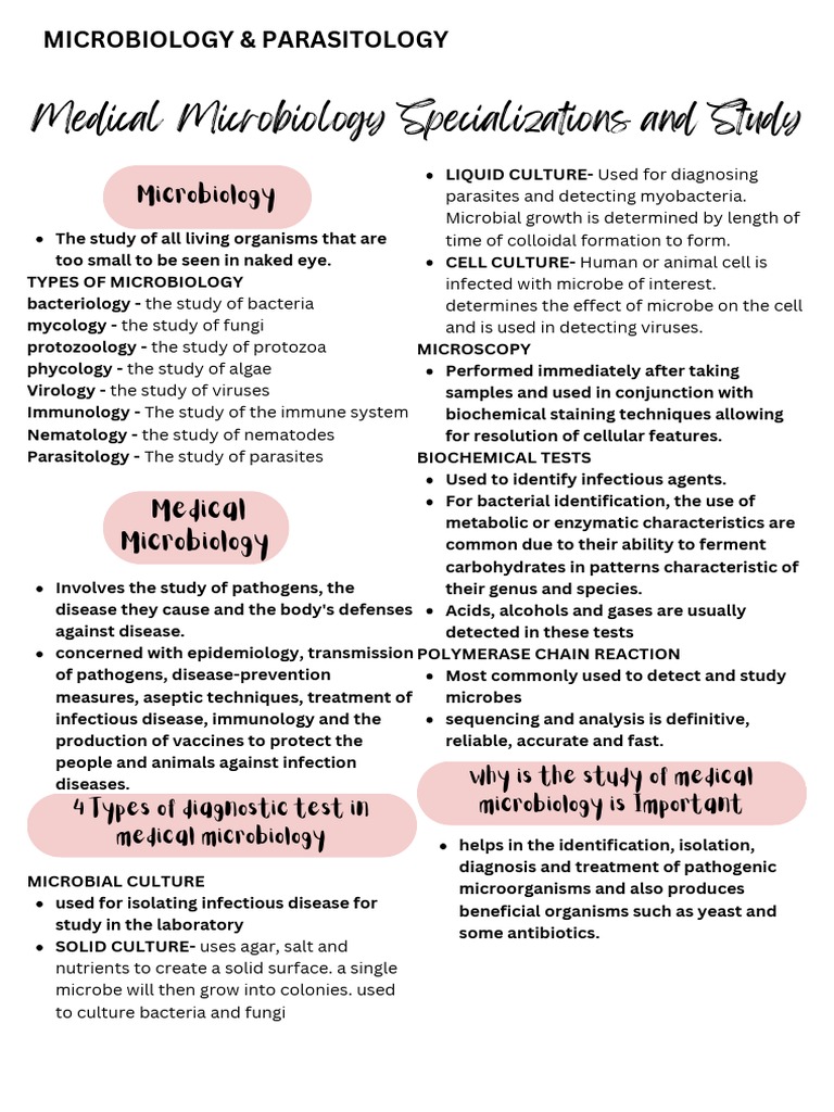 Microbiology & Parasitology 4 | PDF | Infection | Bacteria