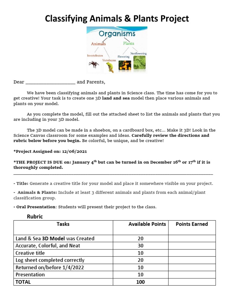 Classifying Animals & Plants Project: Rubric | PDF | Biology | Taxa