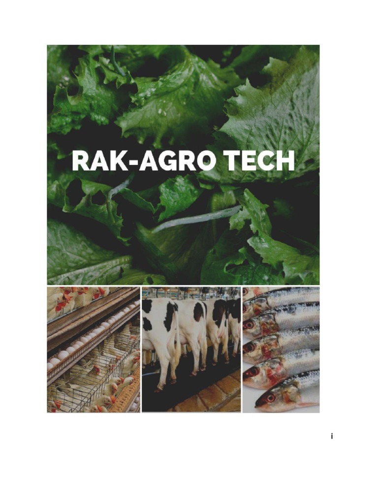 RAK PROPOSAL FINAL Final Last Last Lasdt Last | Download Free PDF ...