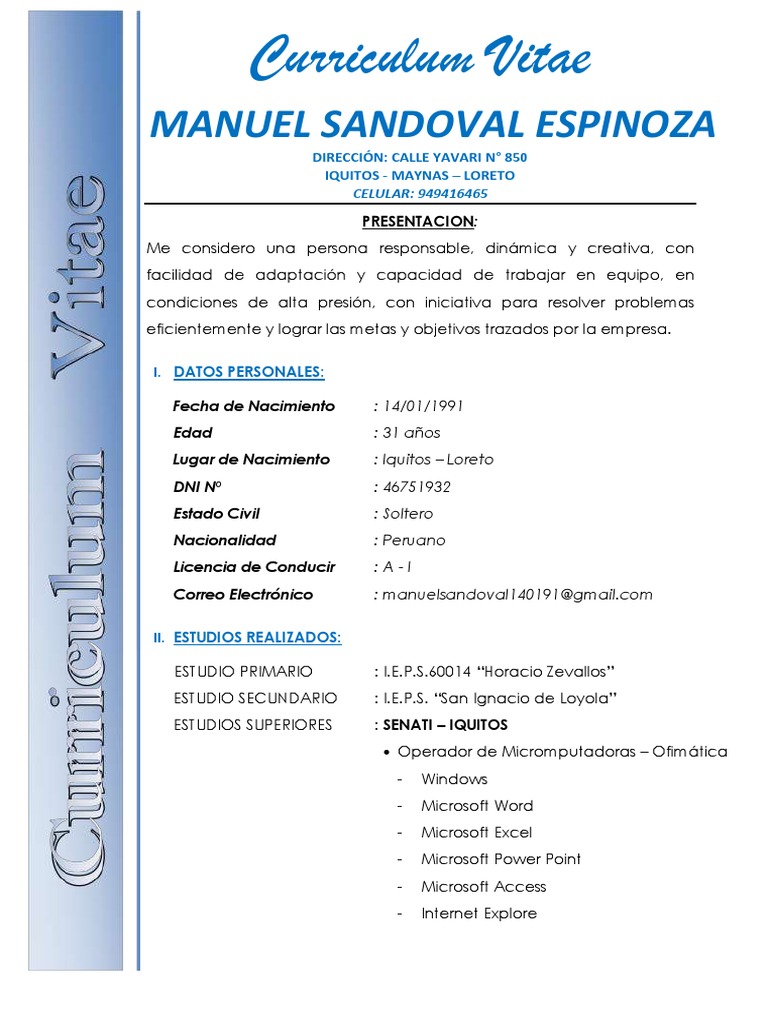 Curriculum Vitae MANUEL SANDOVAL ESPINOZA | Descargar gratis PDF | Microsoft | Software