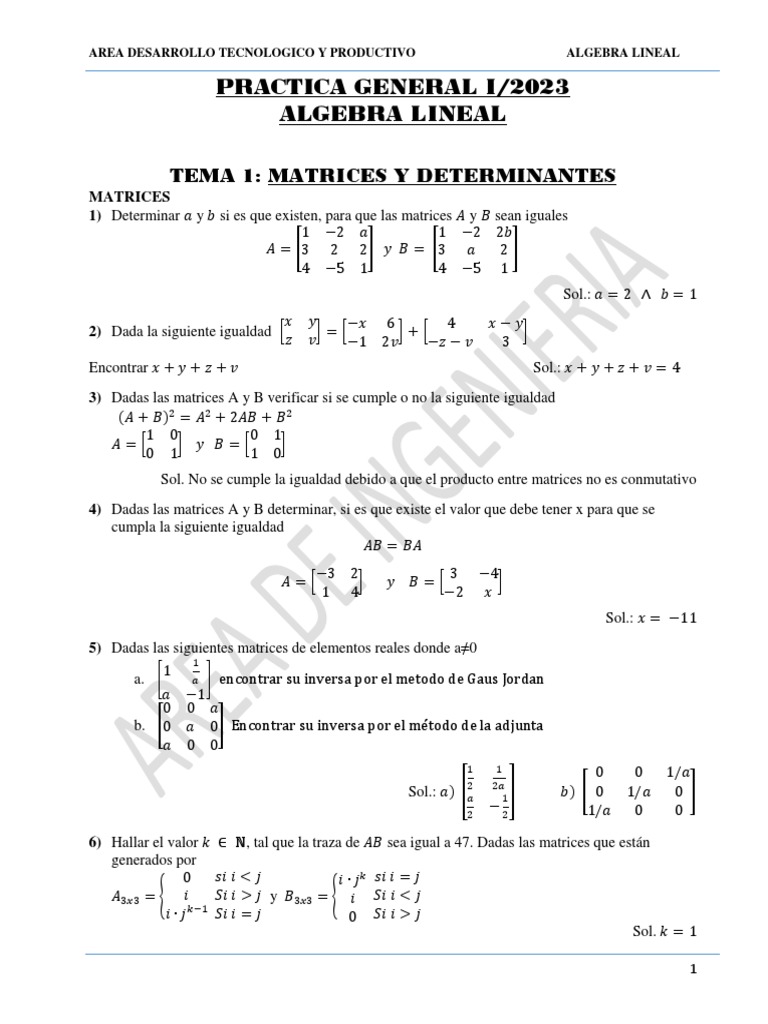 PracticaGral - 1 AlgLin 1-2023 | PDF | Ecuaciones | Matriz (Matemáticas)