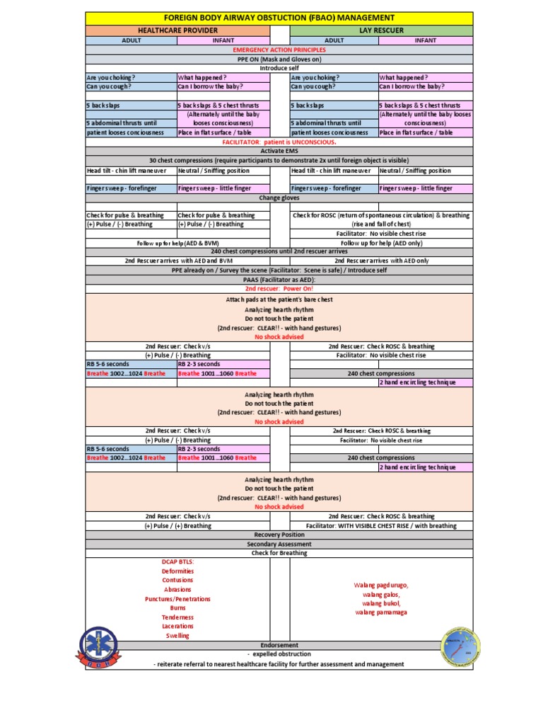 2023 BLS and FBAO Protocols | PDF | Cardiopulmonary Resuscitation ...