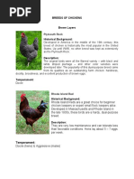 Breeds, Varieties and Strains of Poultry | PDF | Chicken | Poultry
