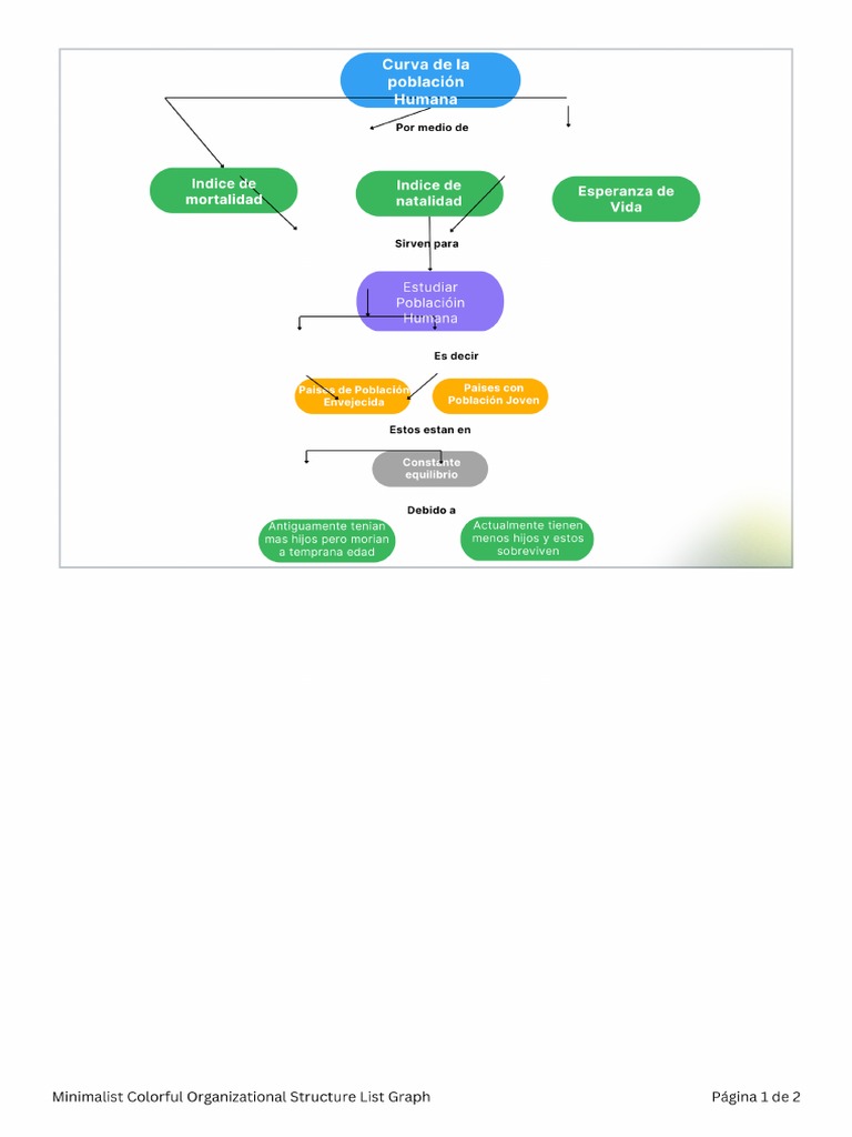 Minimalist Colorful Organizational Structure List Graph | PDF