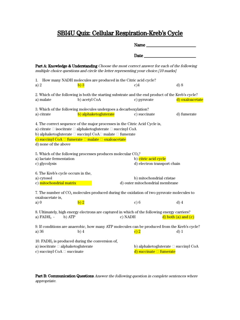 SBI4U Quiz: Cellular Respiration-Kreb's Cycle | PDF | Diet & Nutrition ...