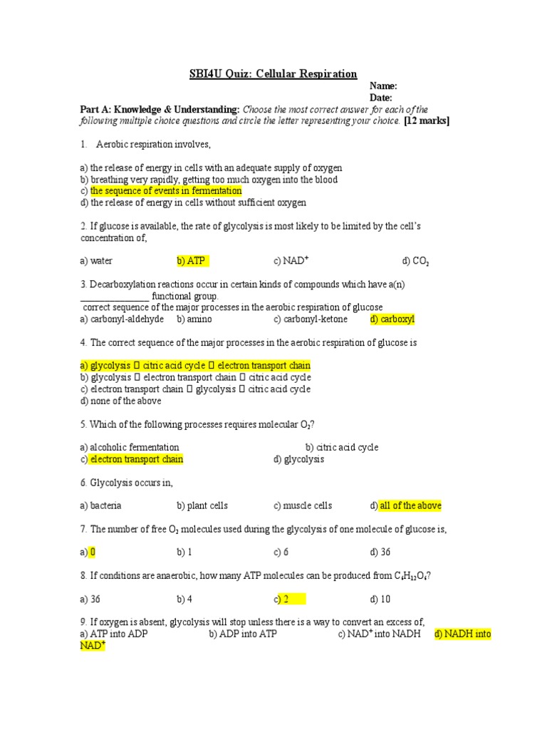 Copy of Quiz-Glycolysis and Fermentation | PDF | Glycolysis | Cellular ...
