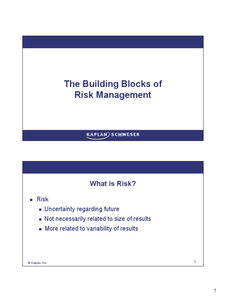The Building Blocks of Risk Management | Download Free PDF | Financial ...