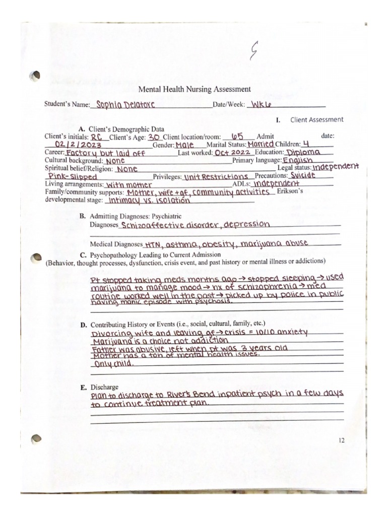 Mental Health Nursing Assessment | PDF