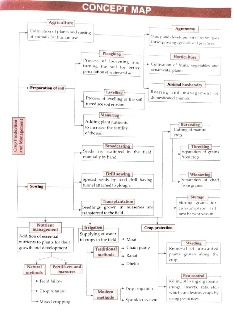 Concept Map of Crop Production and Management Processes | PDF ...