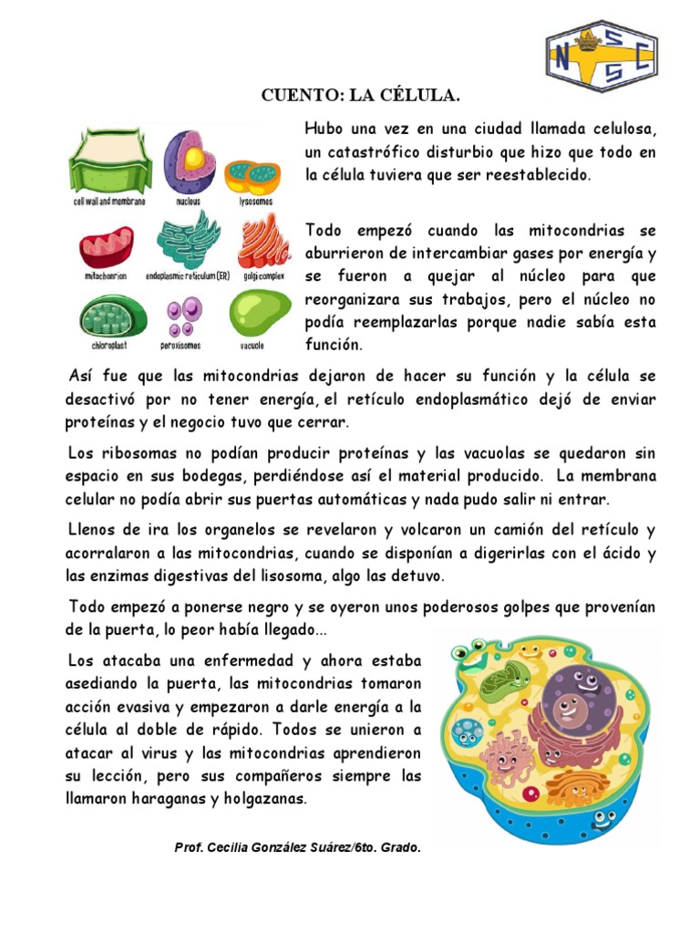 CUENTO La Célula | PDF