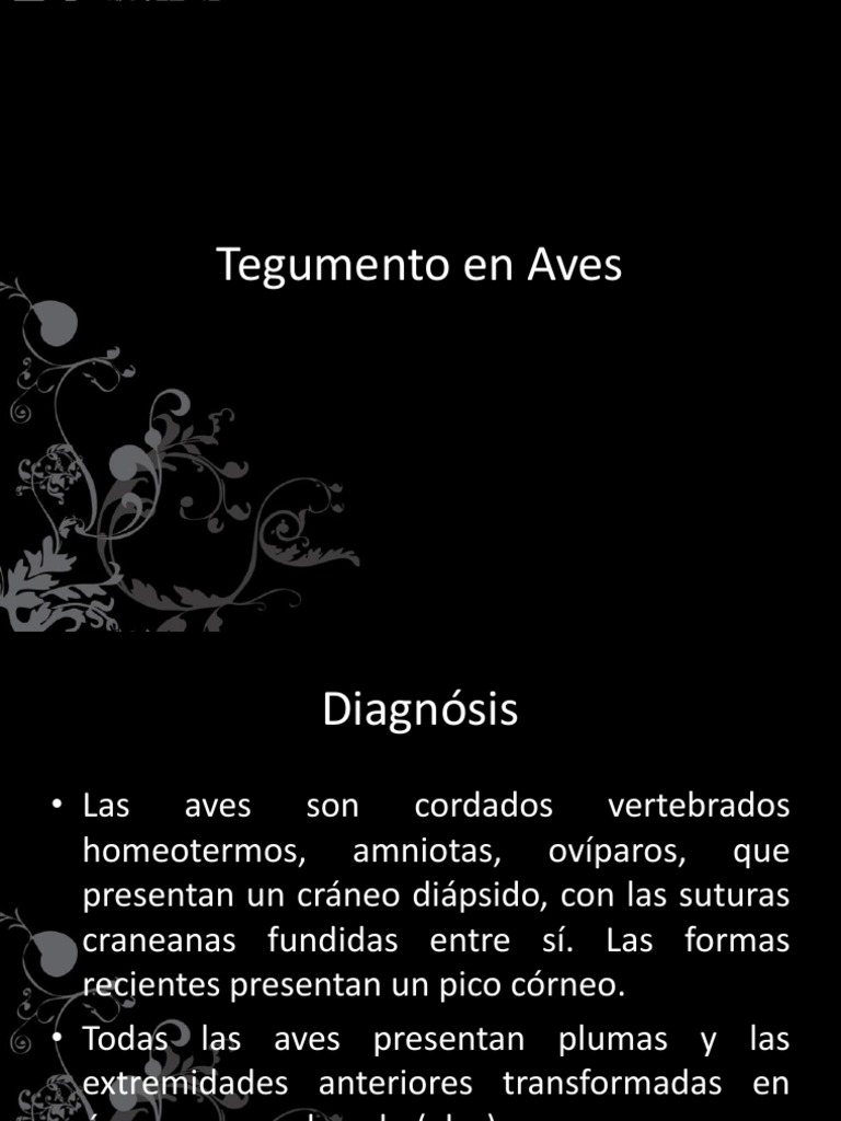 Tegumento en Aves | PDF | Sistema tegumentario | Piel