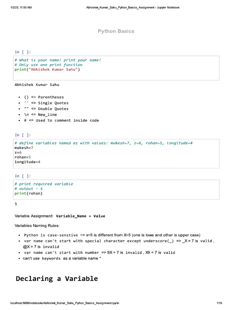 Basics Assignment | PDF