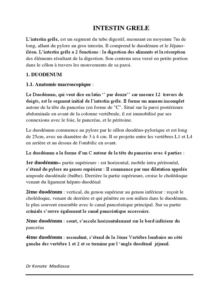 Anatomie de l'intestin grêle | PDF | Pancréas | Péritoine
