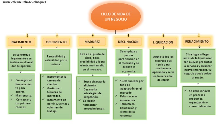 Ciclo de vida de un negocio: las diferentes etapas desde su nacimiento ...