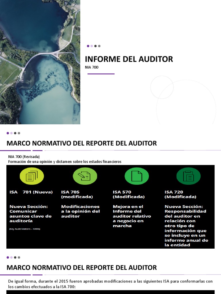 Análisis de los tipos de opiniones que puede emitir un auditor de ...