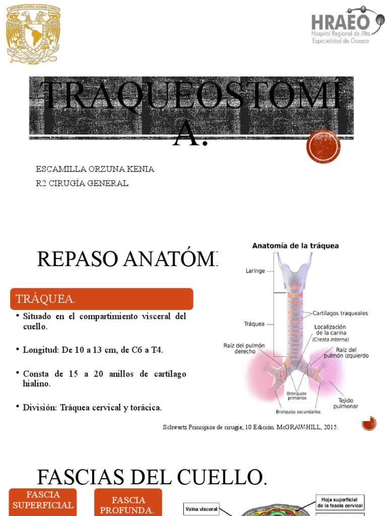 Traqueostomía Técnica Quirúrgica | PDF | Pulmón | Medicina CLINICA