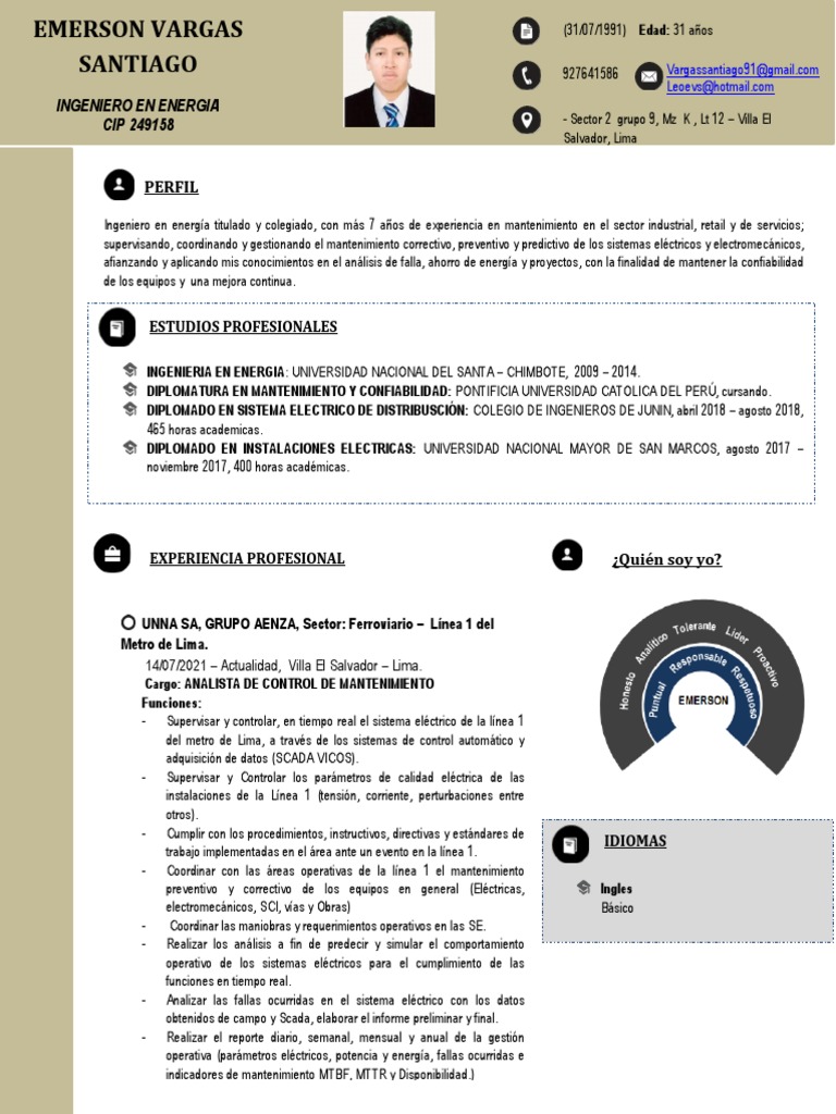 CV Emerson Vargas | PDF | Ingenieria Eléctrica | Naturaleza