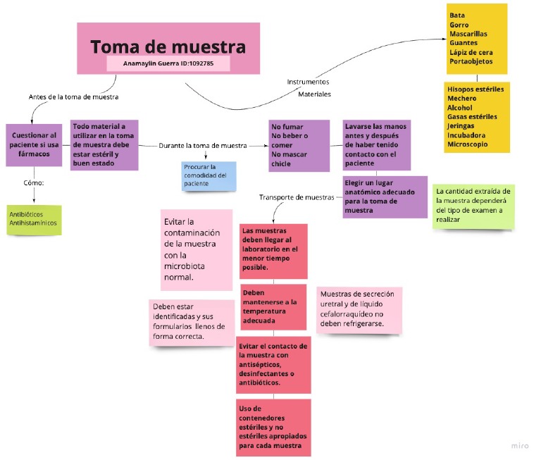 Mapa Conceptual Toma de Muestra | PDF