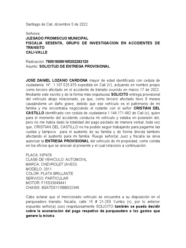 Solicitud Entrega Provisional | PDF