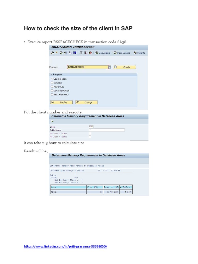 Check Client Size in SAP: Step-by-Step Guide | PDF
