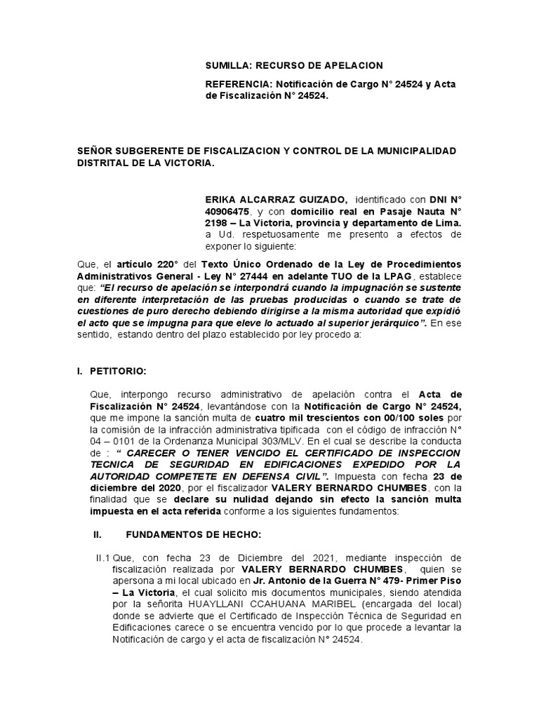 APELACION | PDF | Apelación | Ciencias Políticas